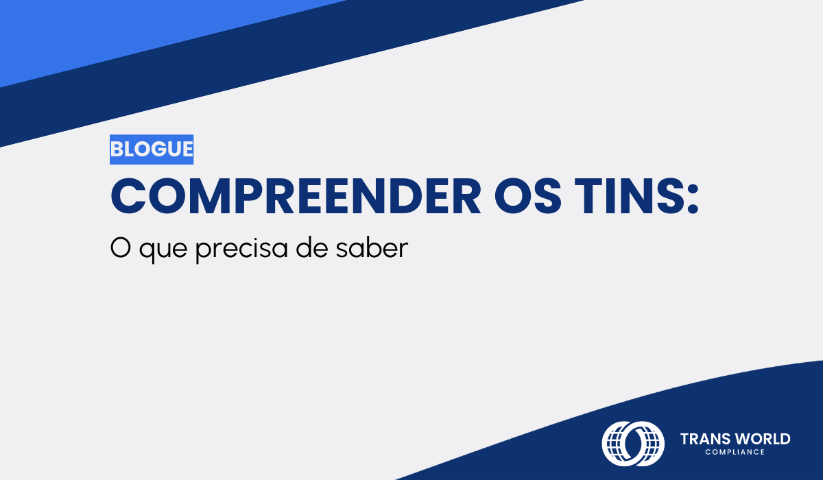Compreender os números de identificação do contribuinte (TINs): O que ...